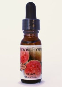 Flavor Extract - Guava Pure Extract – Good Earth Beauty