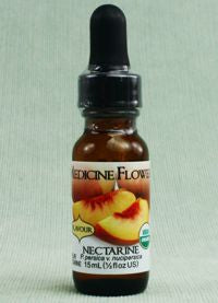 Flavor Extract - Nectarine Pure Extract – Good Earth Beauty